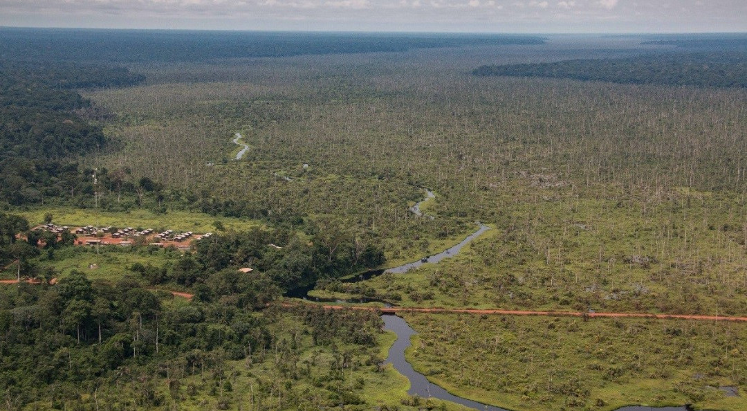 Protecting the Congo Peatlands for Climate Mitigation and Adaptation ...